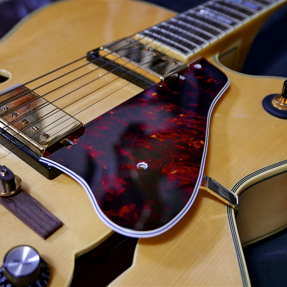 Schecter Custom Pickguard [쉑터 커스텀 픽가드] – stormguitar